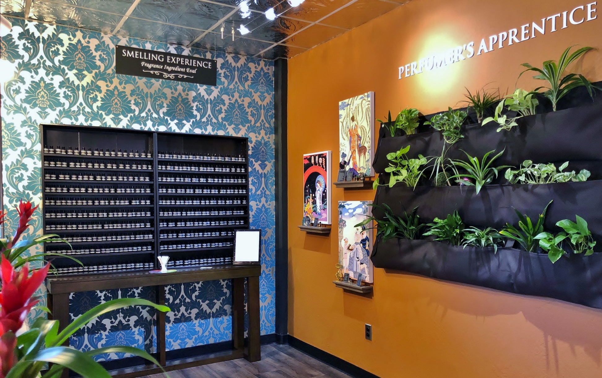 Perfumers Apprentice - Smelling Experience